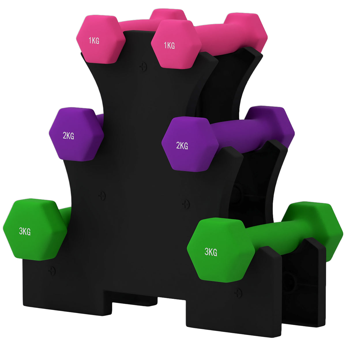 6-Piece Dumbbell Set with Rack - Home Gym Hand Weights 1-3kg — Shopsta UK