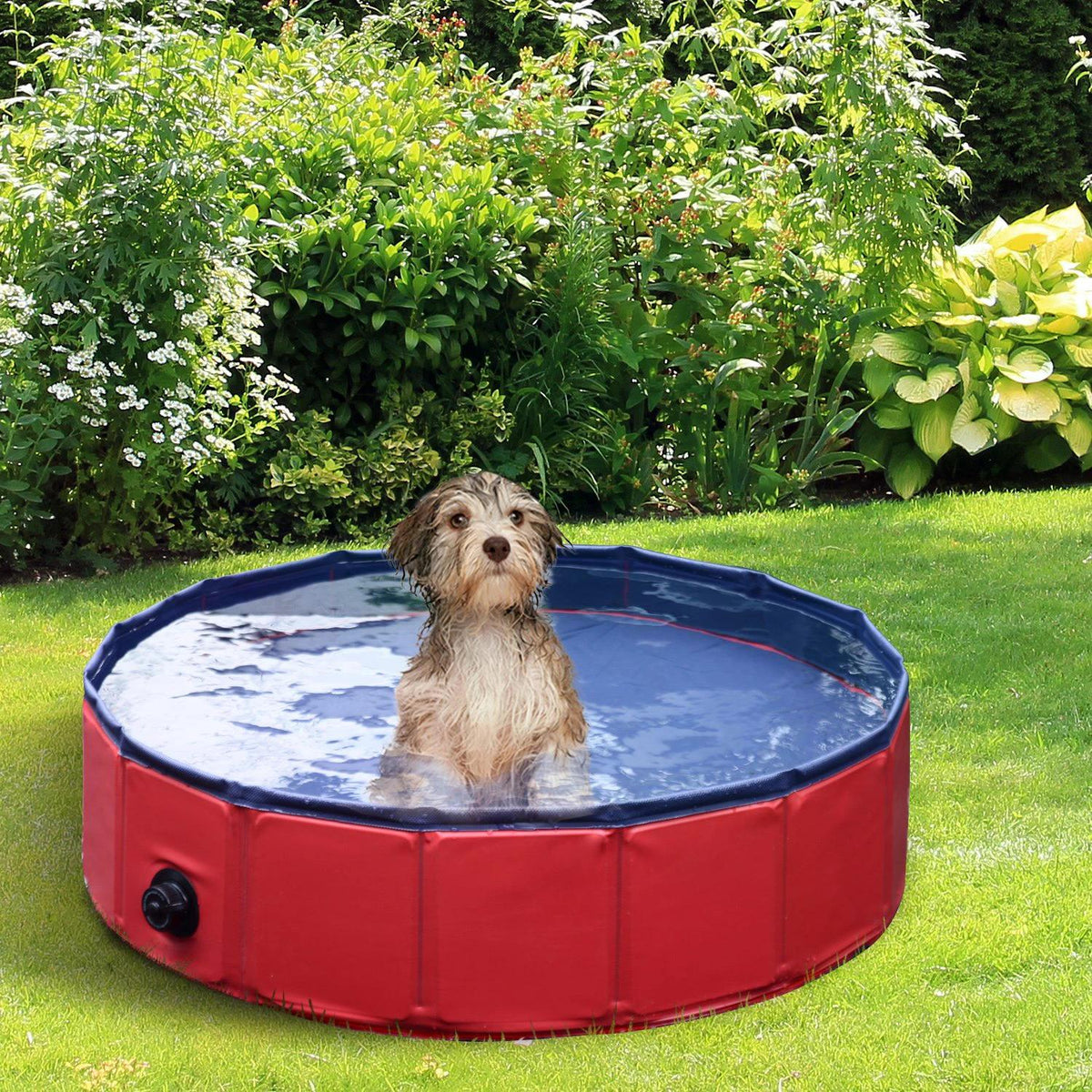 Foldable Red Dog Pool 80cm - Portable Pet Swimming Bath for Summer ...